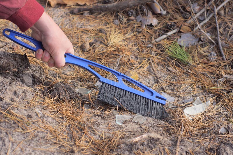 A Workers Hand with a Black Blue Plastic Brush Sweeps Garbage Stock ...