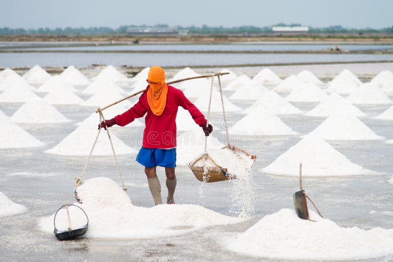 Salt pan harvest stock photo. Image of agriculture, thailand - 30070978