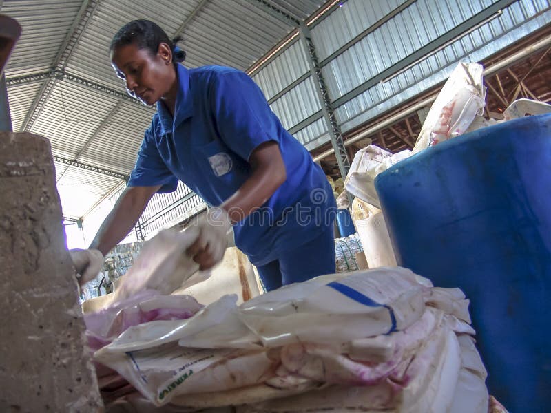 Workers Make the Separation of Plastic Packaging in an Industry ...