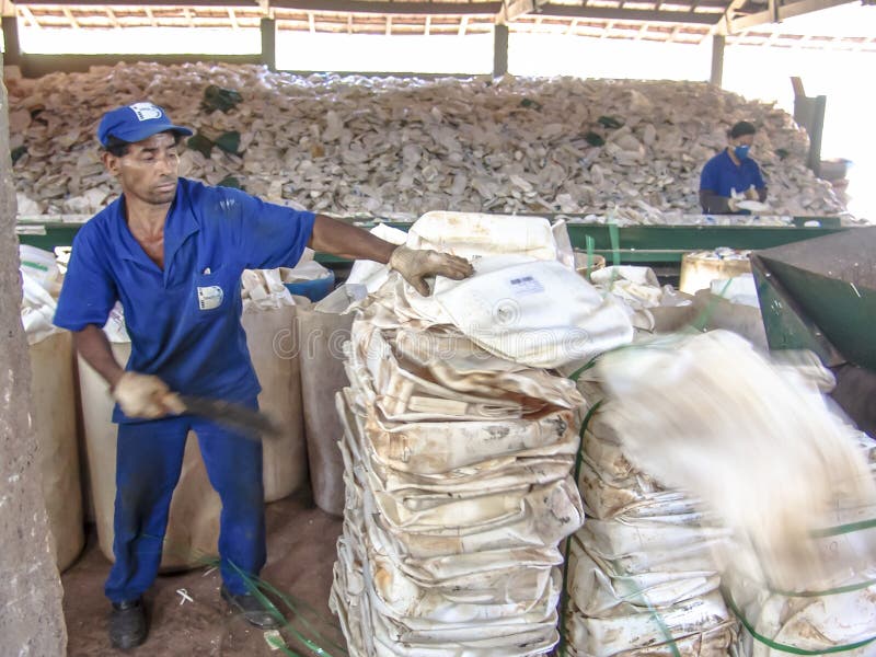 Workers Make the Separation of Plastic Packaging in an Industry ...