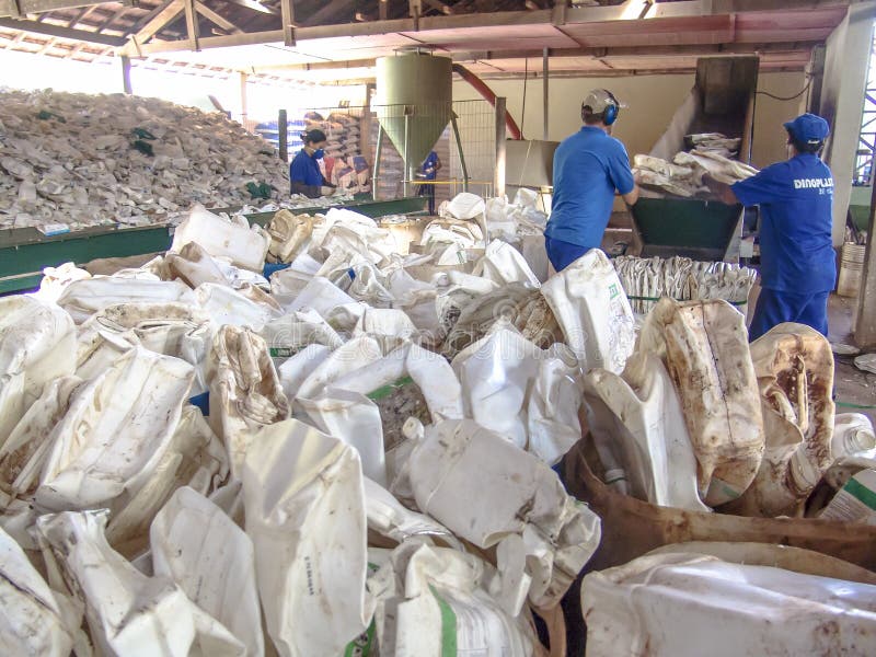 Workers Make the Separation of Plastic Packaging in an Industry of Sao ...