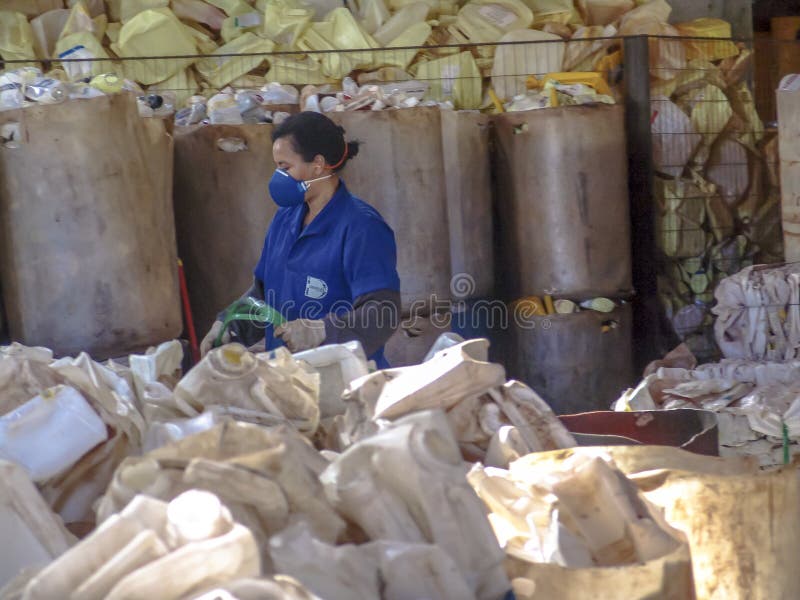 Workers Make the Separation of Plastic Packaging in an Industry of Sao ...