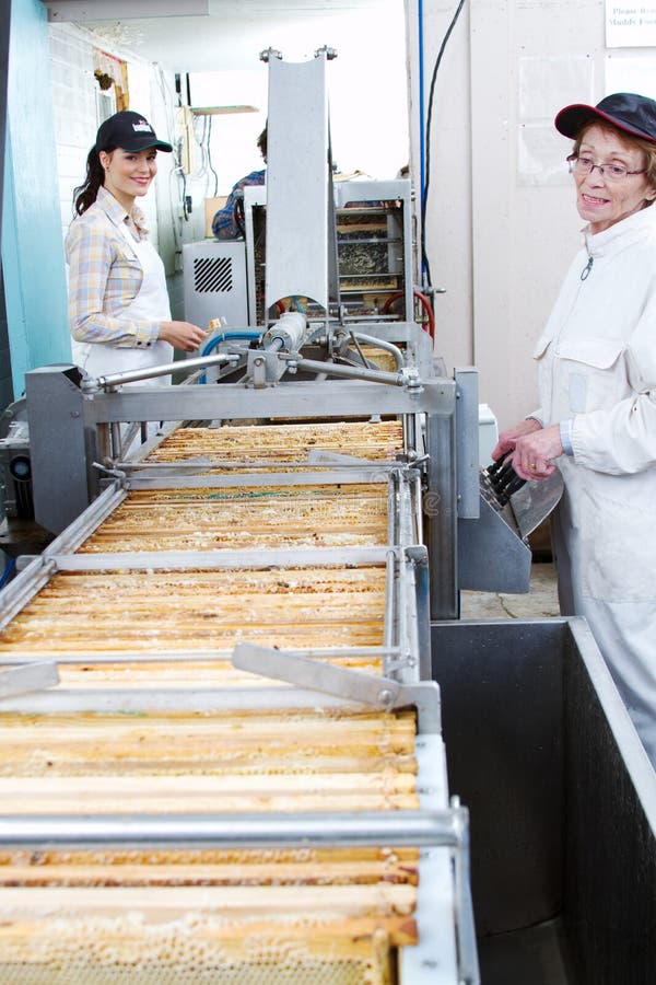 Workers Monitoring Movement of Honey Frames Stock Photo - Image of ...