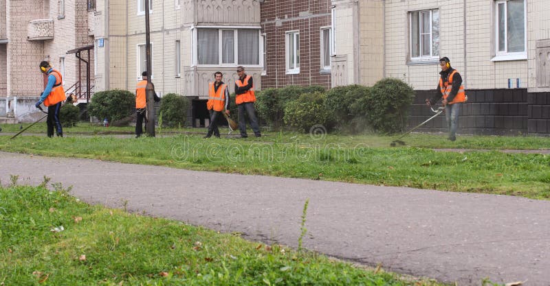 Workers mowed grass. editorial photography. Image of grass - 64356277