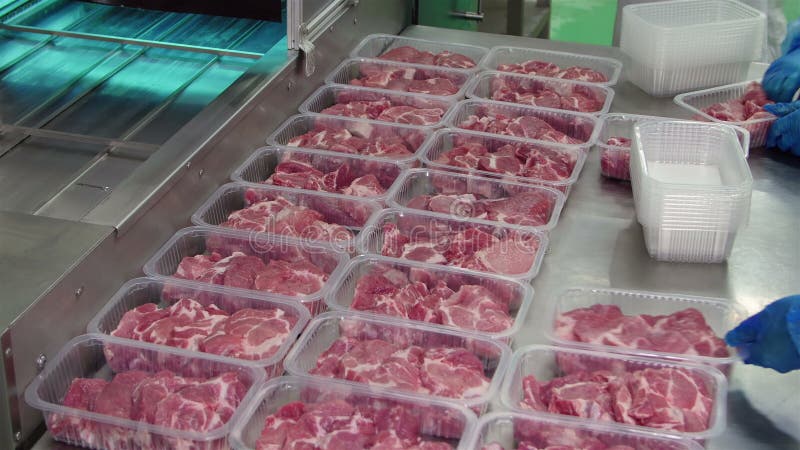 Workers Packing Chopped Meat in a Meat Factory Stock Video - Video of ...