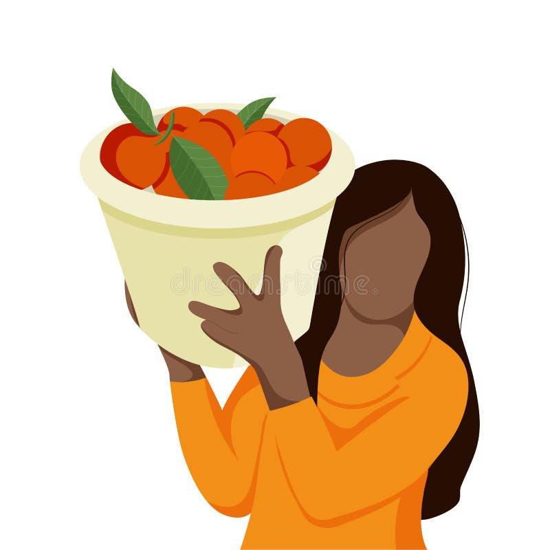 Workers Pick Orange in Plantation Stock Vector - Illustration of ...