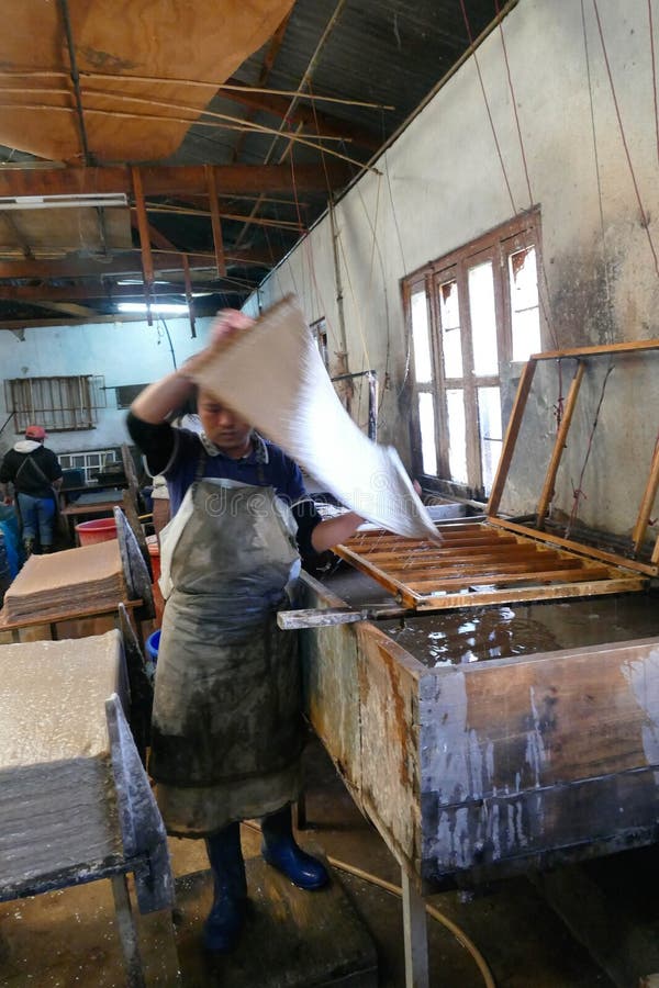 Workers Process Pulp at a Small Paper Factory Editorial Stock Photo ...