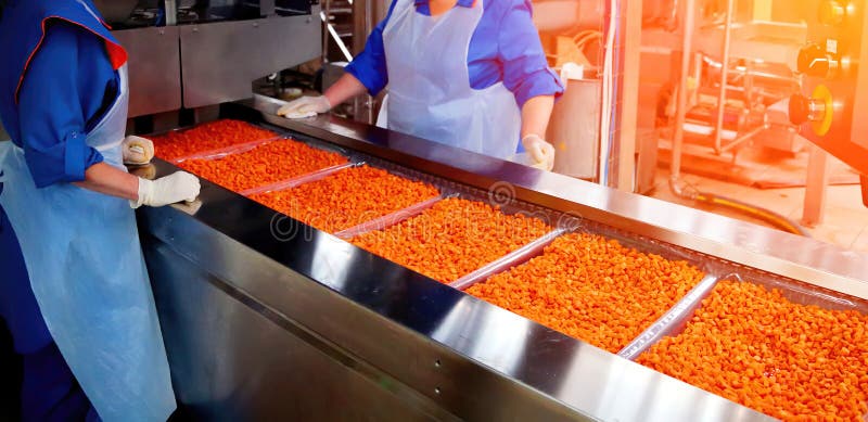 Workers Processing Bright Orange Snacks in a Bustling Factory during a ...