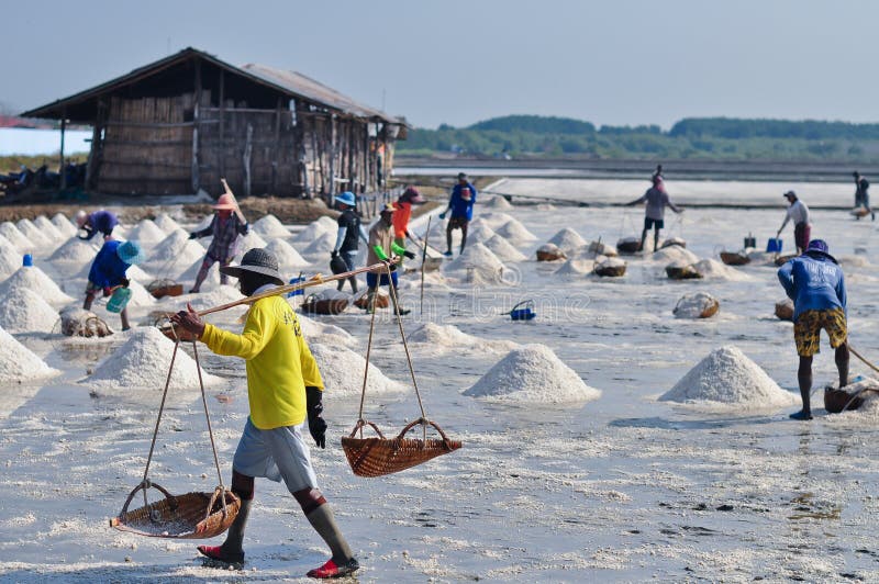 Workers in Salt Farming Thailand Editorial Stock Photo - Image of ...