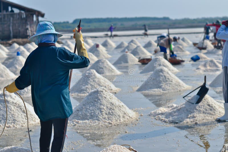 Workers in Salt Farming Thailand Editorial Stock Image - Image of ...