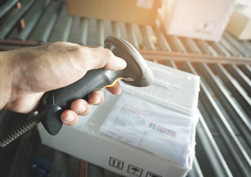 Packaging Boxes Wrapped Plastic Stacked on Pallets Loading into Cargo ...