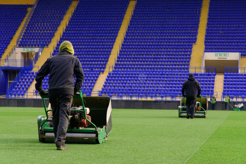 Workers at the Stadium Cutting Grass on Football Stadium Editorial ...