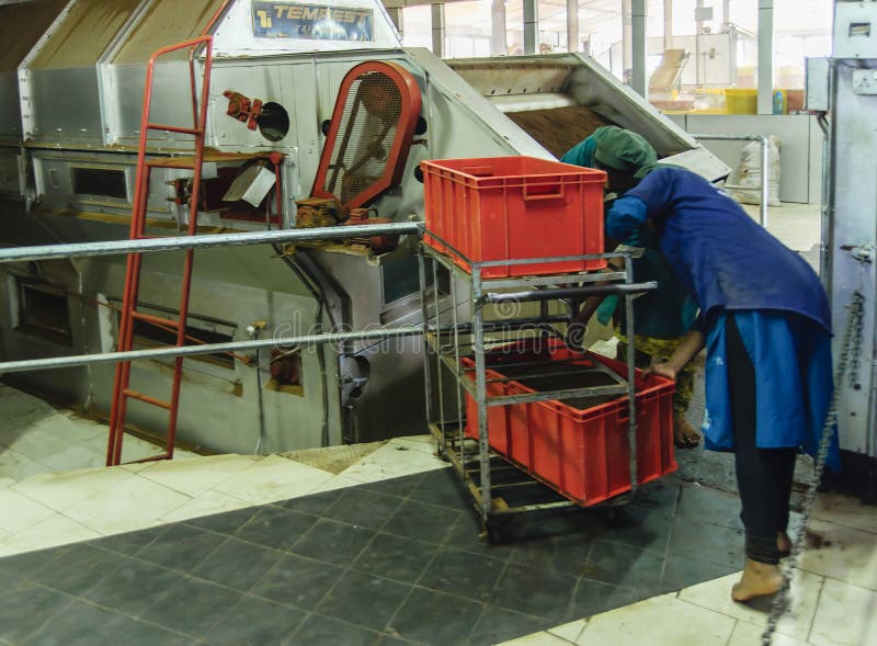 Workers on the tea factory editorial photography. Image of leaf - 68108222