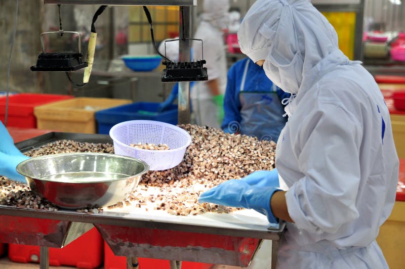 Testing the Quality of Food and Seafood for Export in a Lab in Vietnam ...