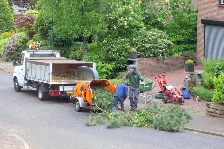 Workers Use a Wood Shredder after Trimming a Tree, Netherlands ...