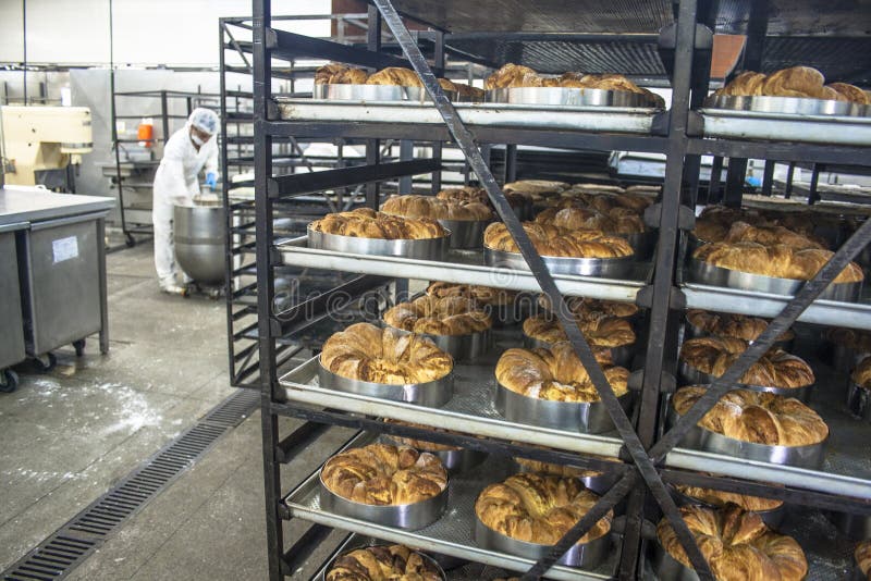 1,286 Bread Workers Stock Photos - Free & Royalty-Free Stock Photos ...