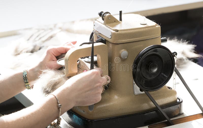 Workflow and Making the Animals Fur Stock Photo - Image of making ...