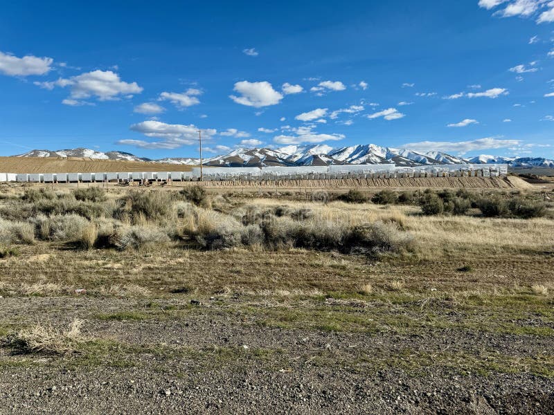 Workforce Housing Complex stock image. Image of mining - 382771607