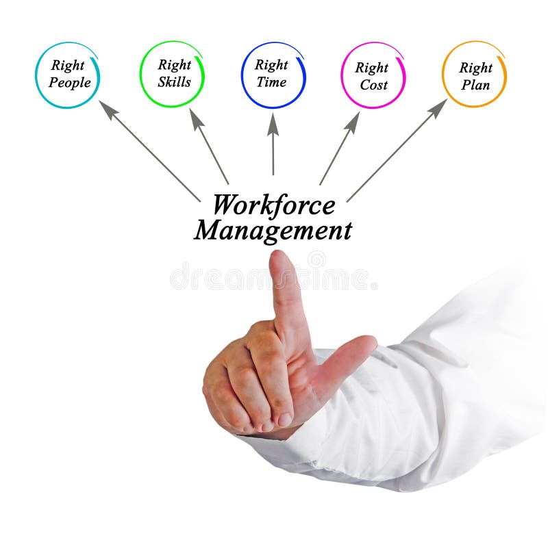 Workforce Management stock photo. Image of manager, member - 84306686