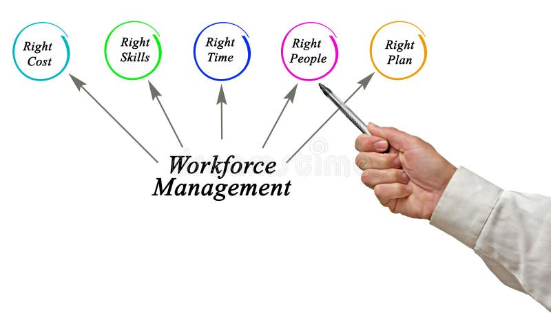 Workforce Management stock photo. Image of people, person - 84309666