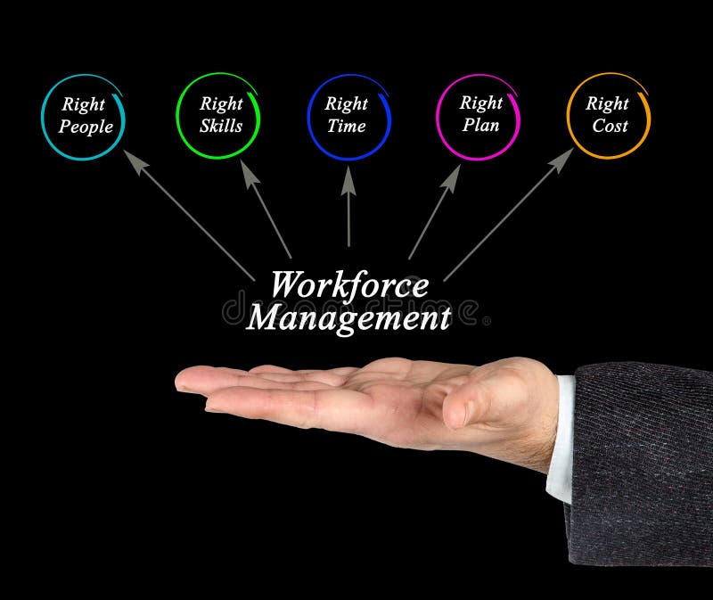 Workforce management stock photo. Image of page, textbook - 19497520