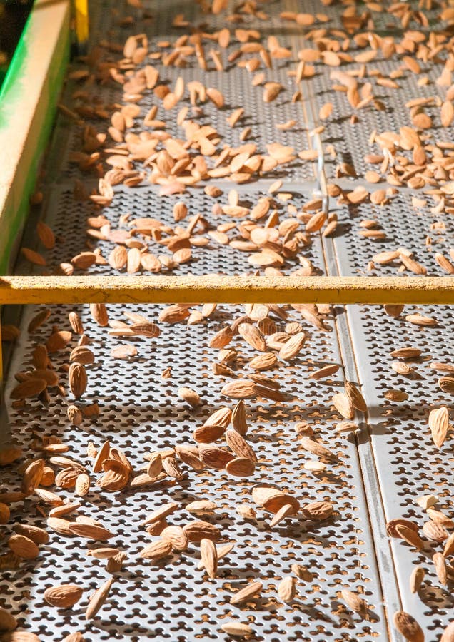 The working of almonds stock image. Image of instrument - 183084087