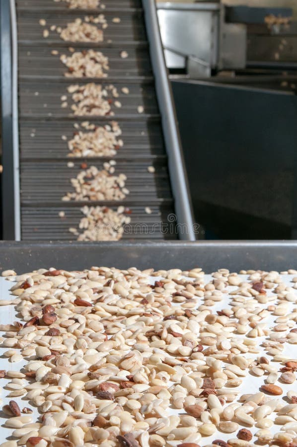 The working of almonds stock photo. Image of almond - 183077846