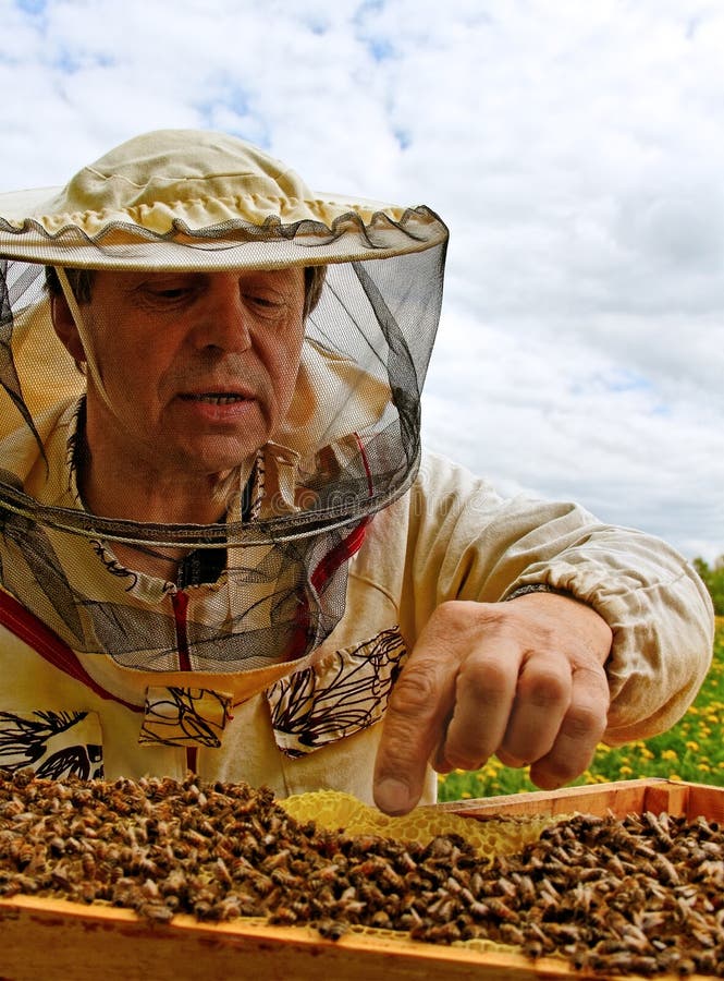 Working apiarist. stock photo. Image of flower, male - 35230376