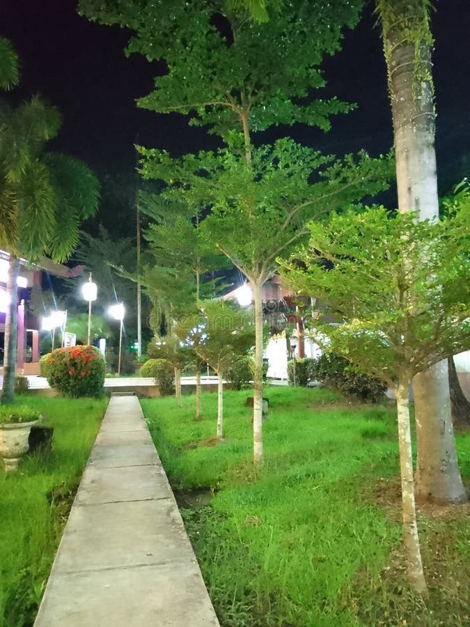 Working Atmosphere at Night with the Bright Moonlight Stock Image ...