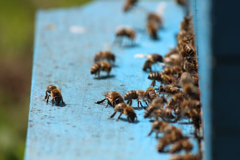 Piramids Night Time Stock Photos - Free & Royalty-Free Stock Photos ...