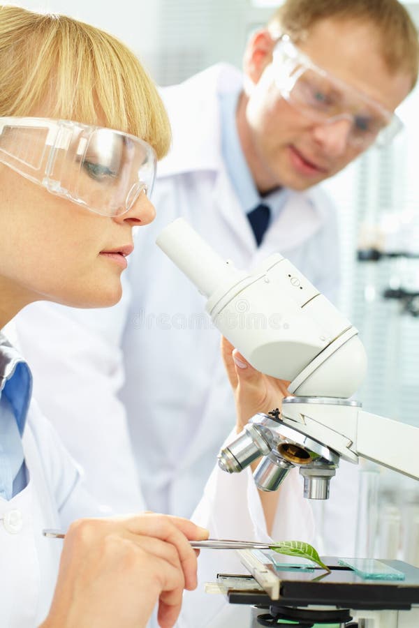 Working biochemist stock photo. Image of clinic, female - 23454358