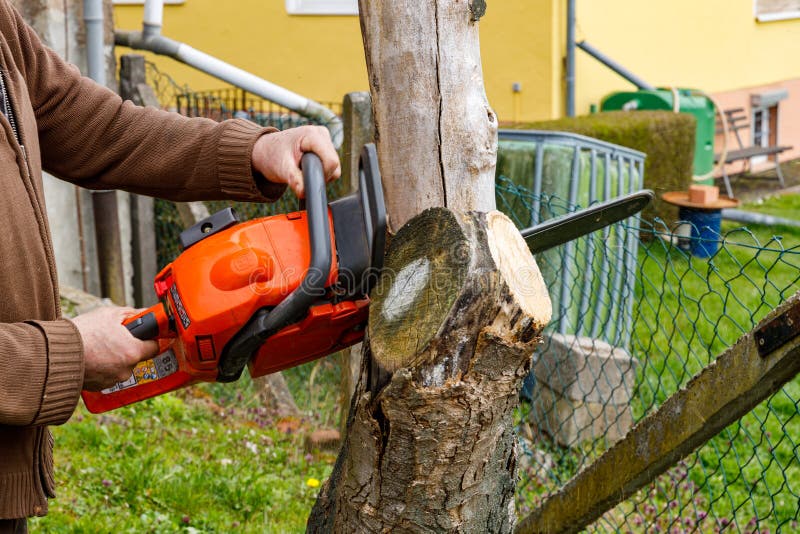 Working with a Chainsaw for Firewood Stock Photo - Image of material ...