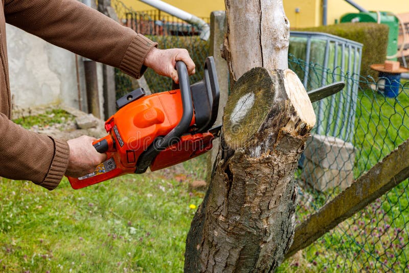 Working with a Chainsaw for Firewood Stock Image - Image of outdoor ...
