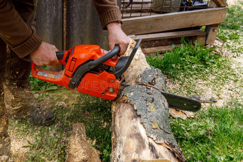 Working with a Chainsaw for Firewood Stock Photo - Image of wood, tool ...