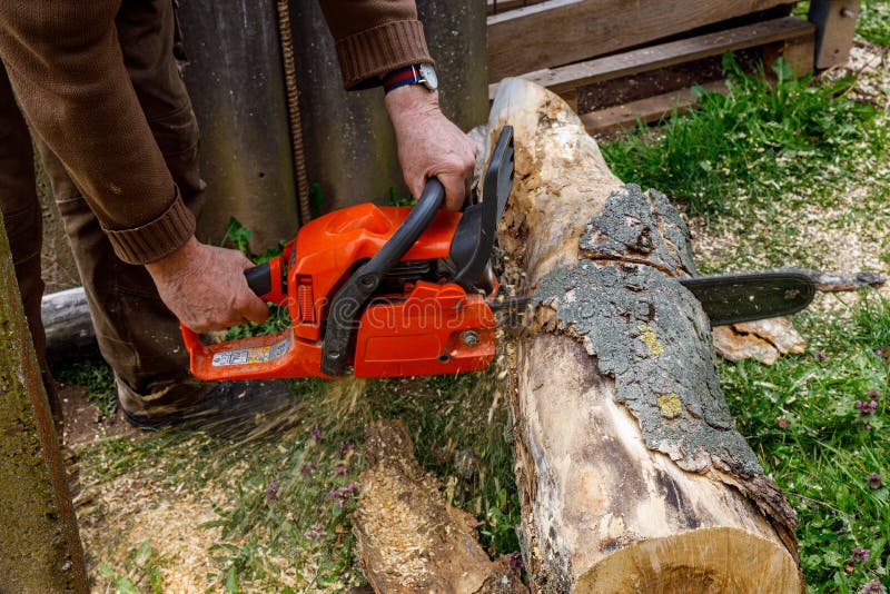 Working with a Chainsaw for Firewood Stock Photo - Image of chain ...