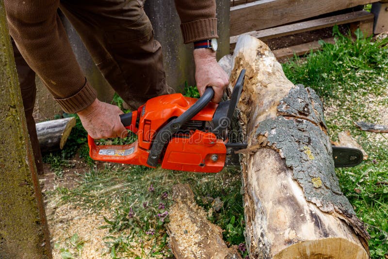 Working with a Chainsaw for Firewood Stock Image - Image of chainsaw ...