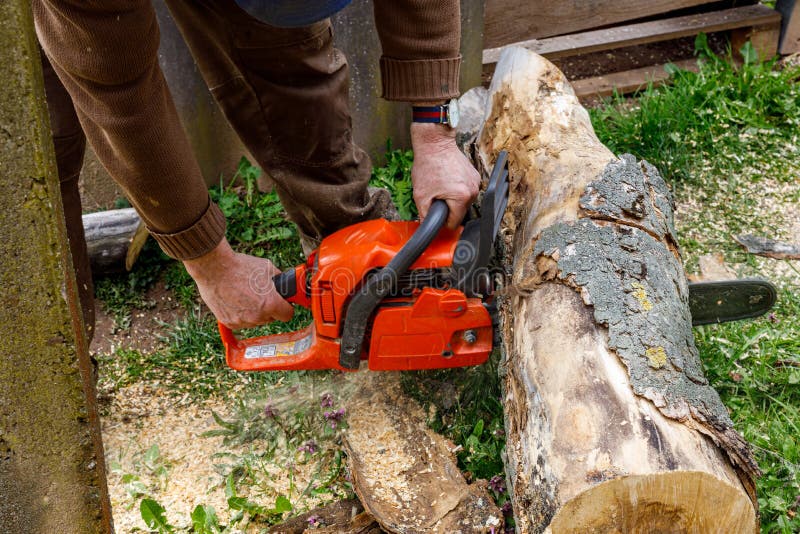 Working with a Chainsaw for Firewood Stock Image - Image of wooden ...
