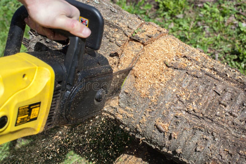 Working chainsaw included. stock image. Image of timber - 92138995
