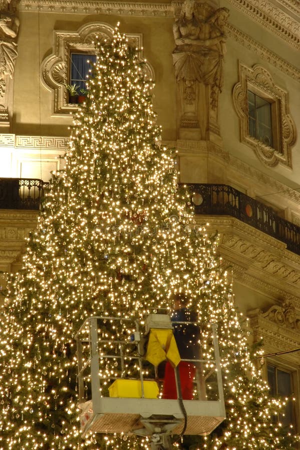 Working On Christmas Tree Picture. Image: 1563771