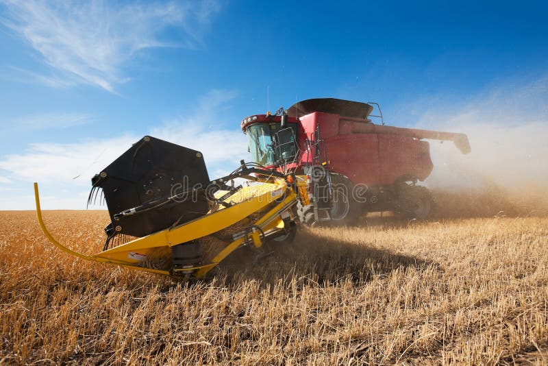 Working combine stock photo. Image of barley, cereal - 17344900