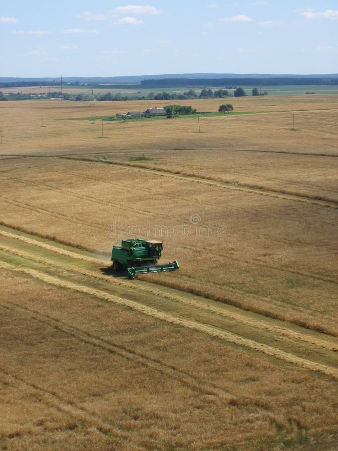 Four Combines in Field stock photo. Image of landscape - 22020006