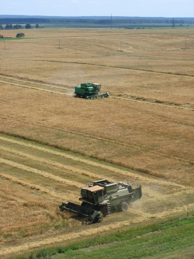 Working combines stock photo. Image of harvest, harvesting - 3076638