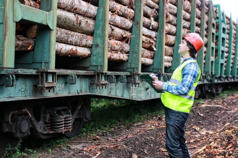 Man in Helmet Worker Wood Lumber Stock Photo - Image of head ...