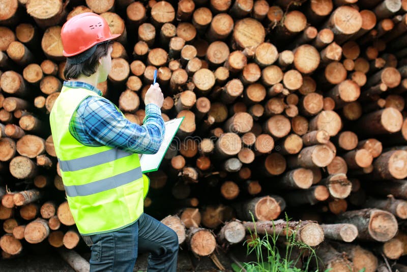 Man in Helmet Worker Wood Lumber Stock Image - Image of manager ...