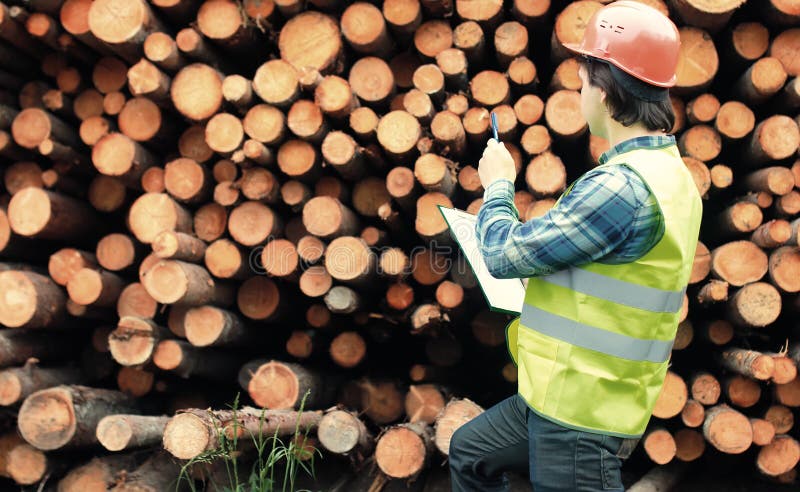 Worker in Helmet Counts Wood Lumber Stock Image - Image of logger ...