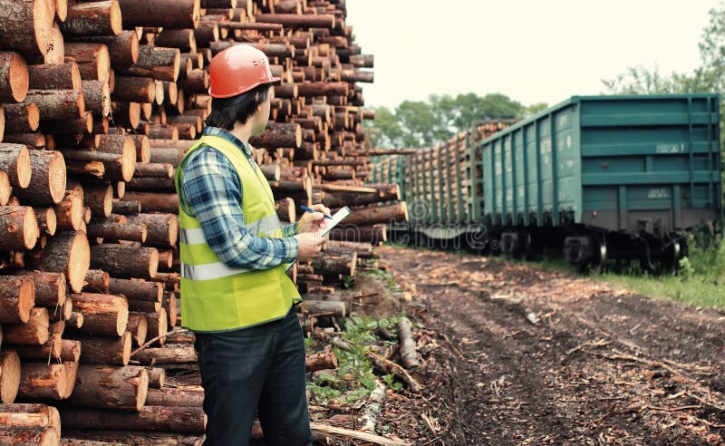 Worker in Helmet Counts Wood Lumber Stock Photo - Image of ecology ...