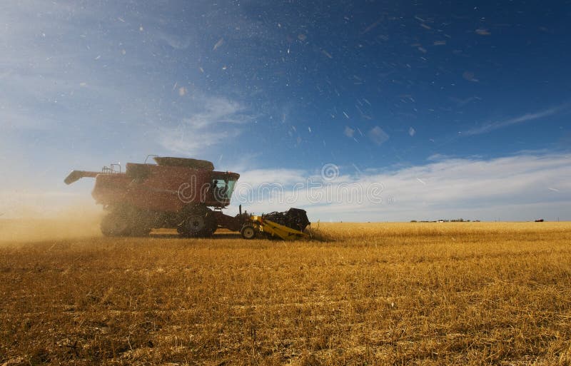 Harvest work stock photo. Image of crop, produce, golden - 2962958