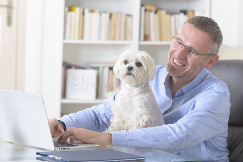 Working with dog at home stock photo. Image of businessman - 193113562