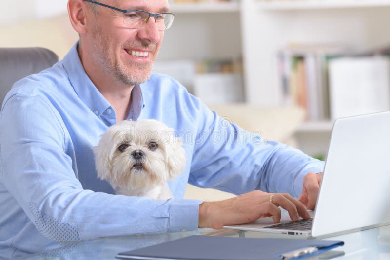 Working with Dog at Home or Office Stock Image - Image of person ...