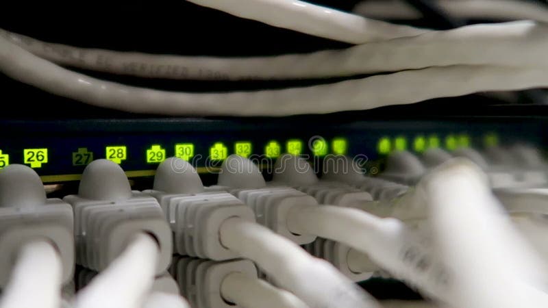 Working Ethernet Server. RJ45 Jacks Blinking LED Lights. Close Up Stock ...